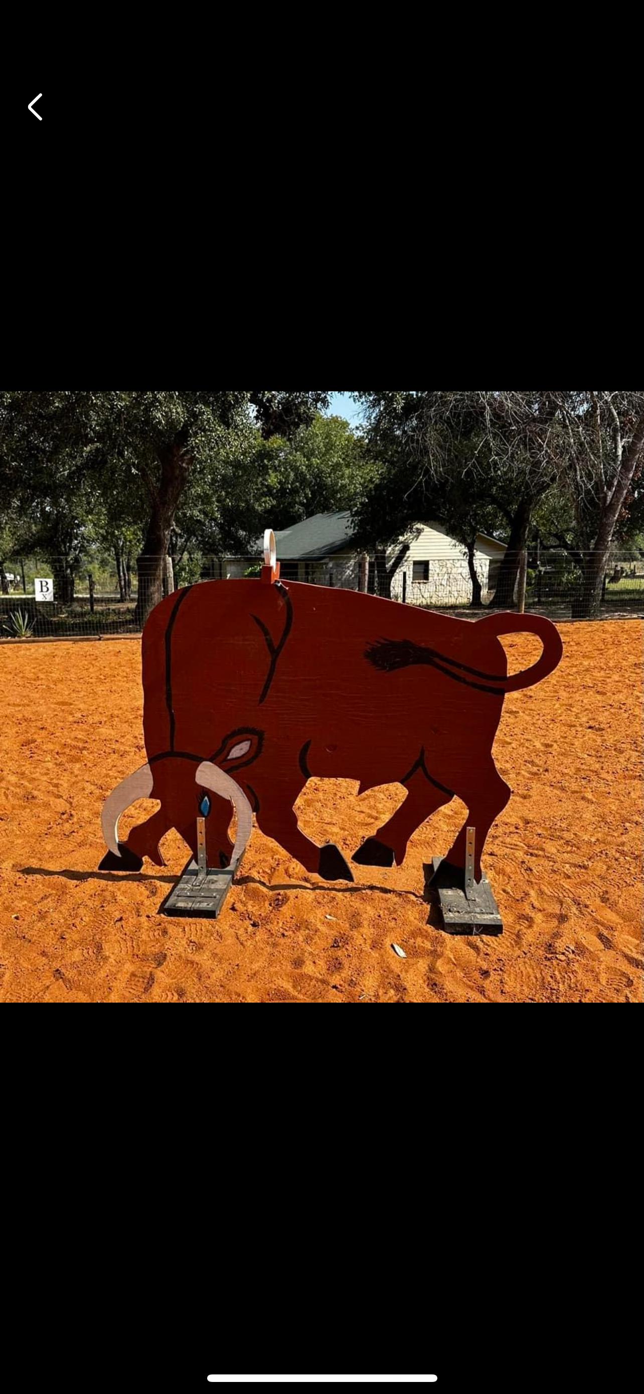 Working Equitation BULL Pattern Woodworking DIY - Etsy