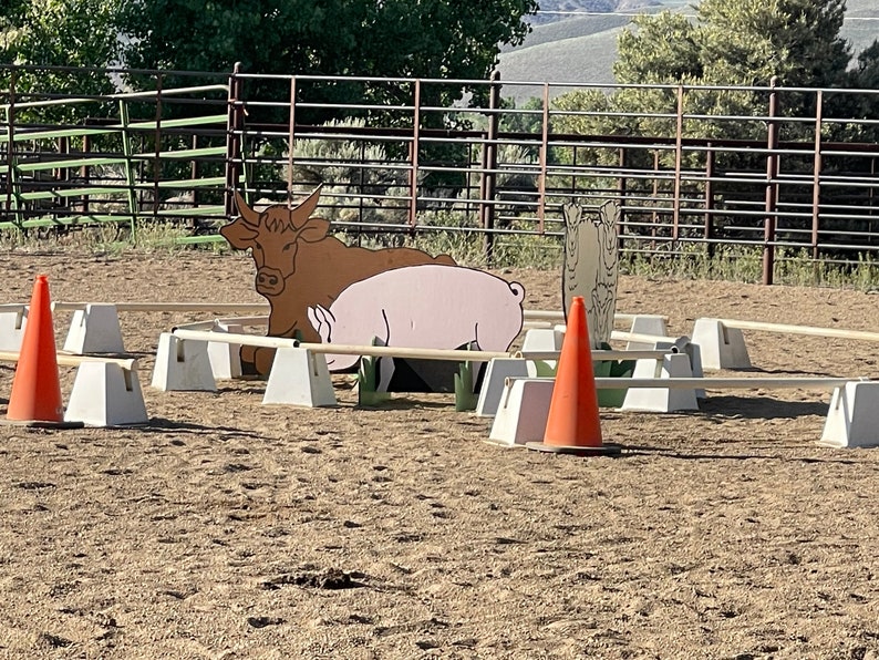 Working Equitation Livestock Pen STEER DIY Woodworking Pattern - Etsy