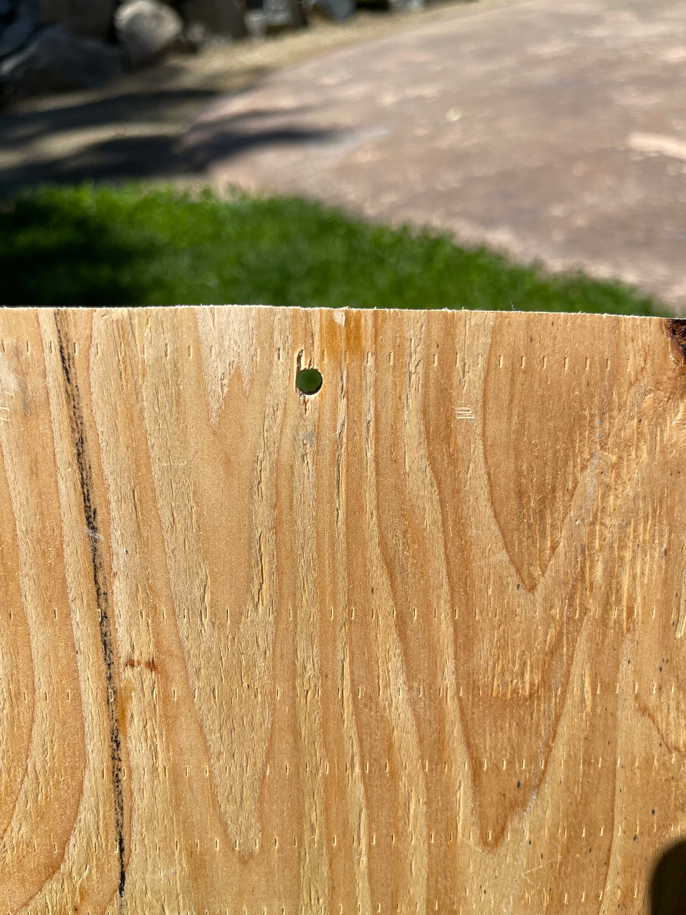 Working Equitation Garocha Metal RING and HOLDER - Etsy