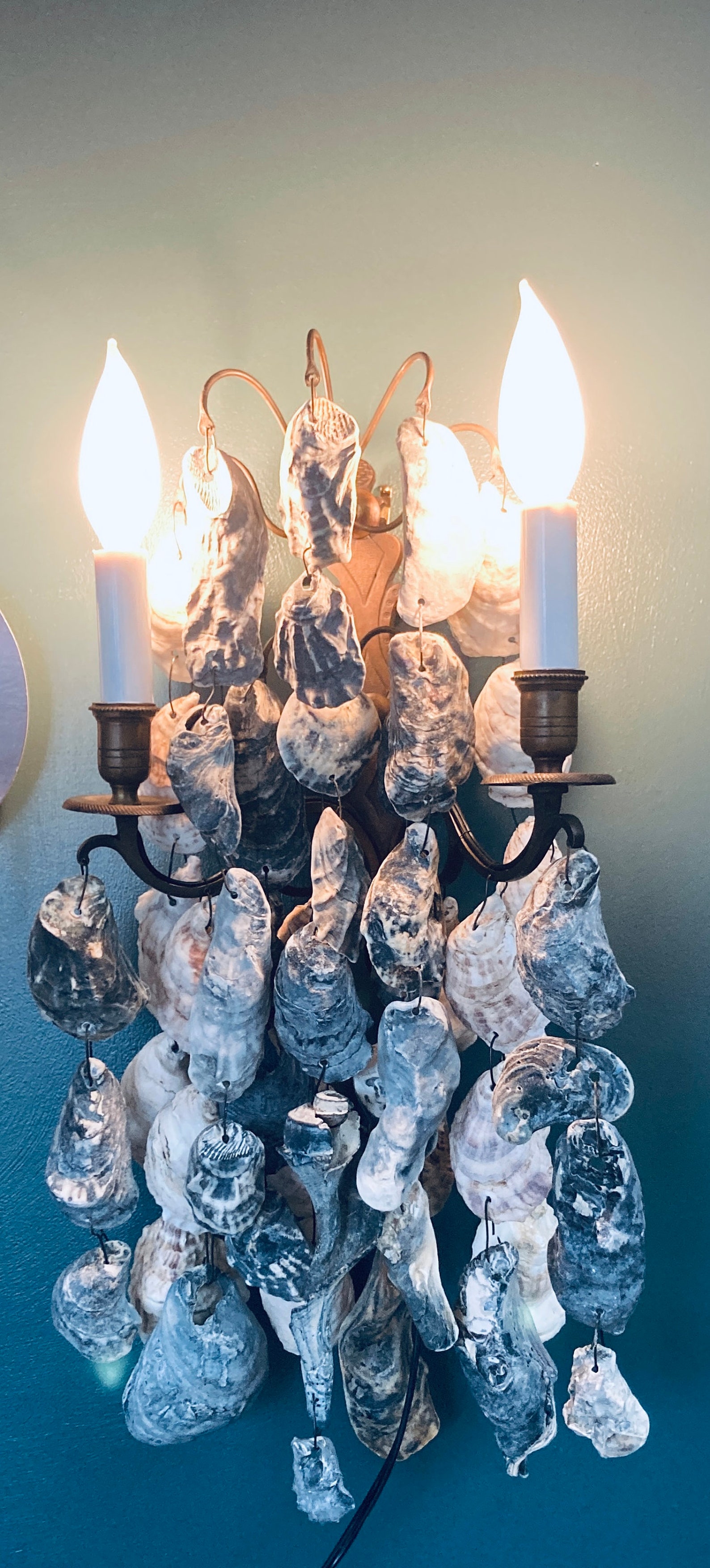 Oyster Shell Wall Sconces - Etsy