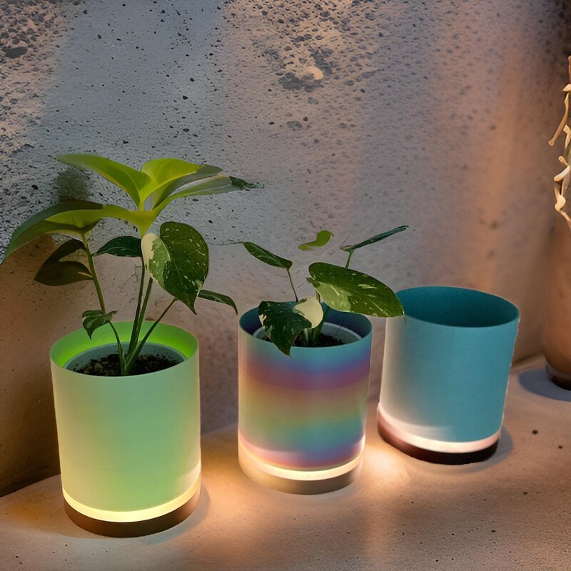 Planter Lamp - Etsy