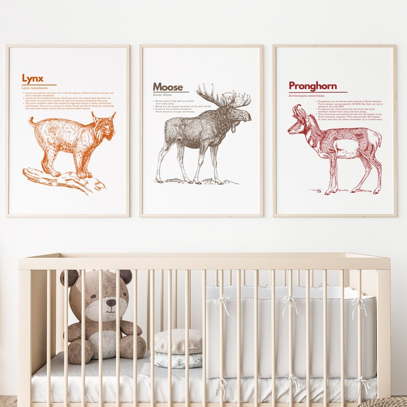 6 Unique Printable North American Animal Poster Collection. Elk, Moose ...