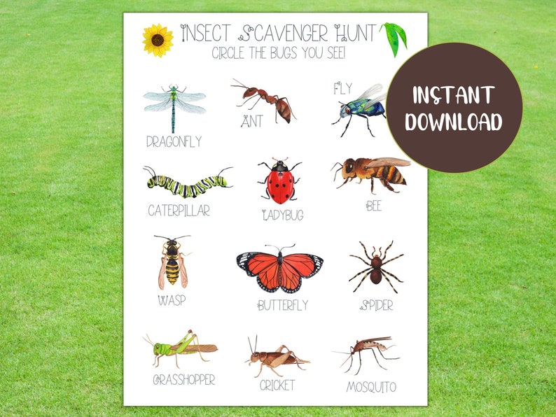 Printable Insect Nature Scavenger Hunt Insect Nature - Etsy