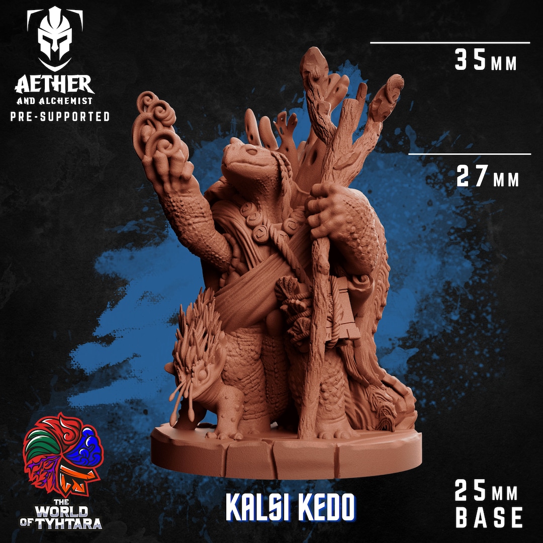 Kalsi Kedo, Tortle Druid - 8k Resin Miniature - Aether & Alchemist - Etsy
