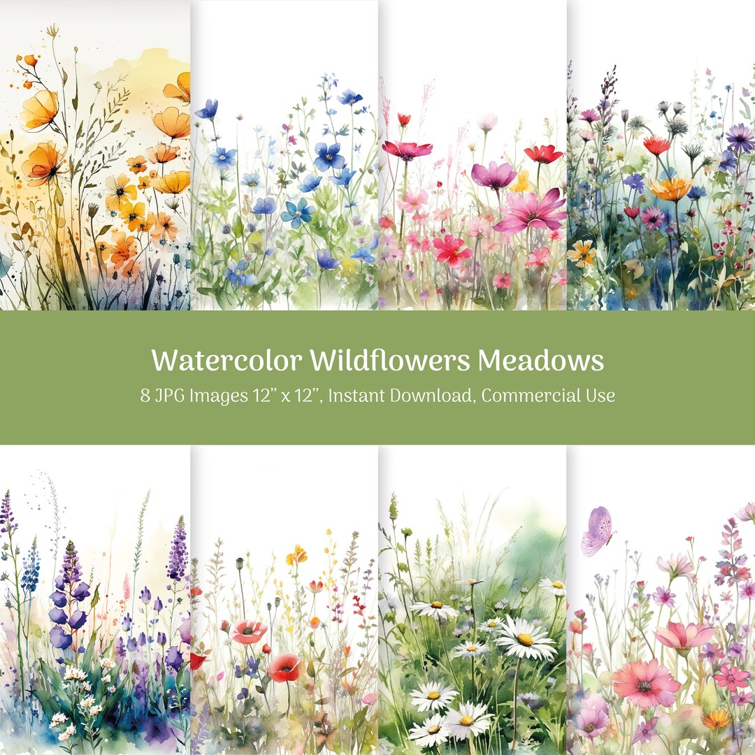 Watercolor Wildflower Meadow Borders: Spring Floral Clipart (digital ...