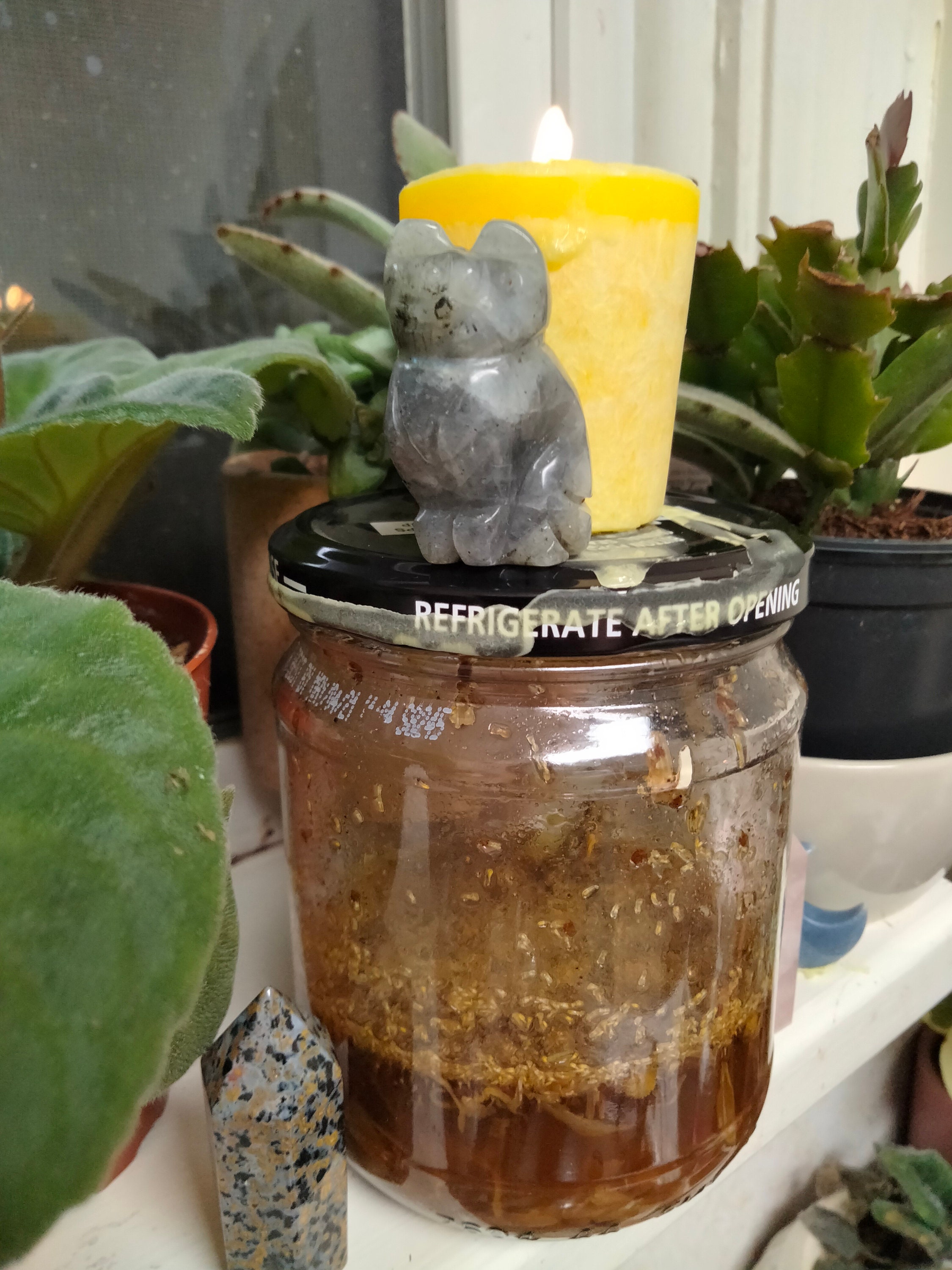 Good Luck Jar Community Spell - Etsy