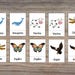 French Animal Flash Cards for Kids - Montessori Animals Matching Cards ...