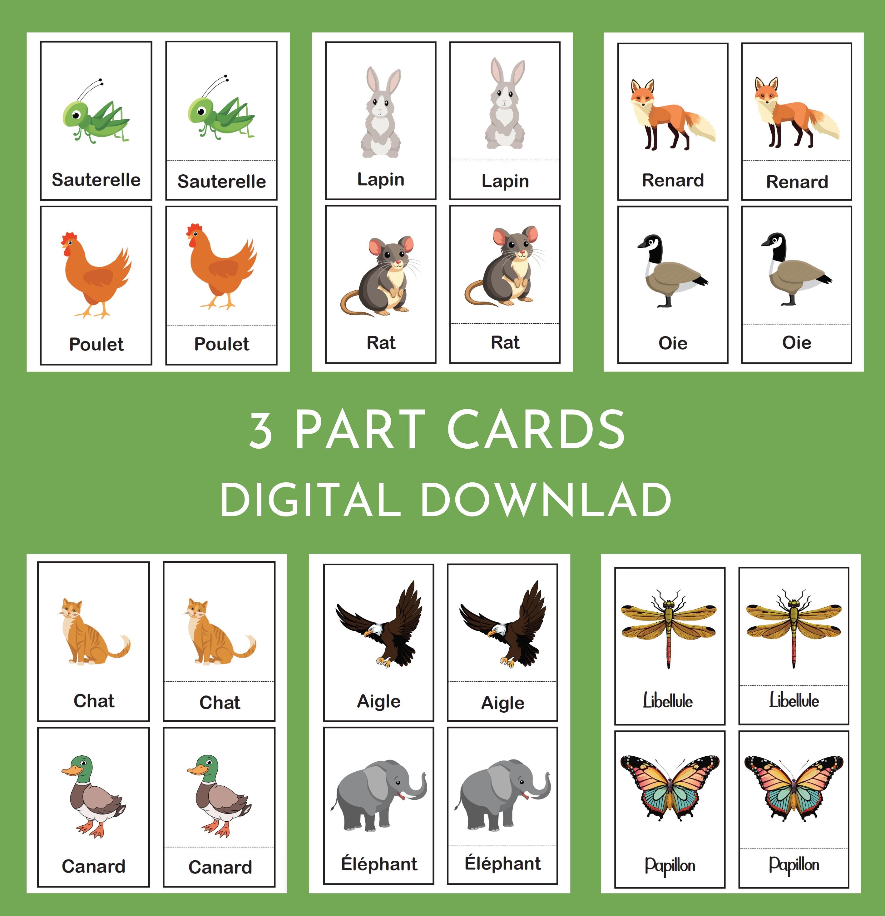 French Animal Flash Cards for Kids - Montessori Animals Matching Cards ...