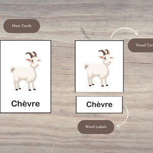 French Animal Flash Cards for Kids - Montessori Animals Matching Cards ...