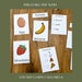 Printable Montessori Food Flash Cards for Kids Printable Montessori ...