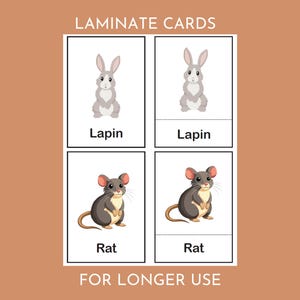 French Animal Flash Cards for Kids - Montessori Animals Matching Cards ...