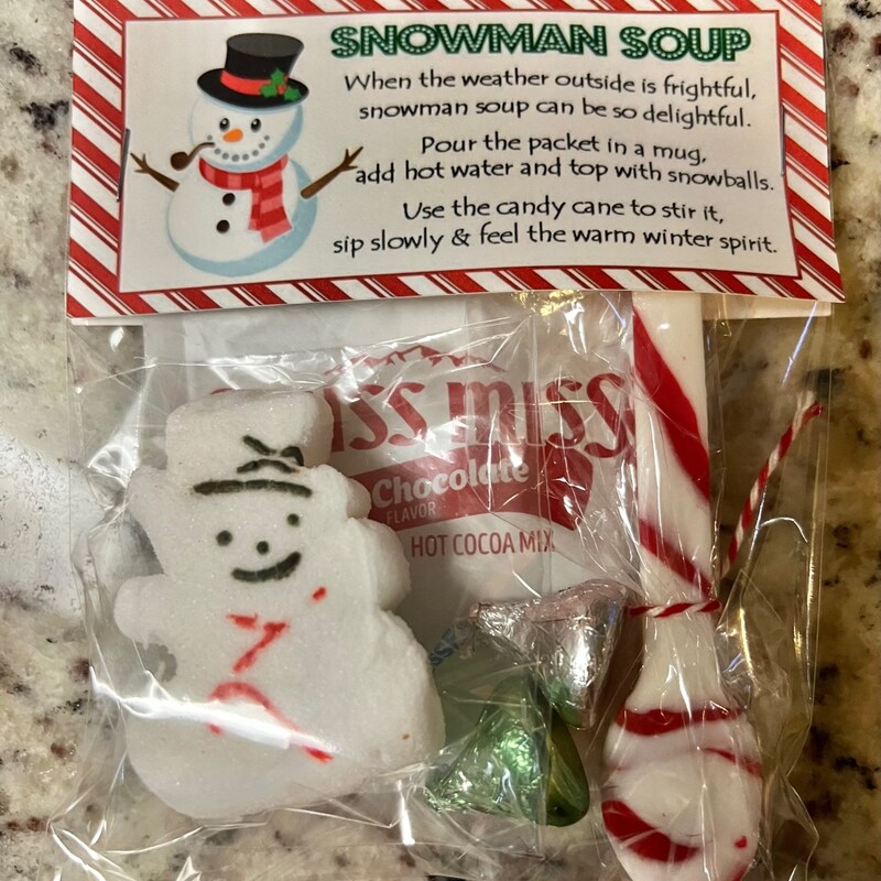 Snowman Gift Bags - 60+ Gift Ideas for 2024