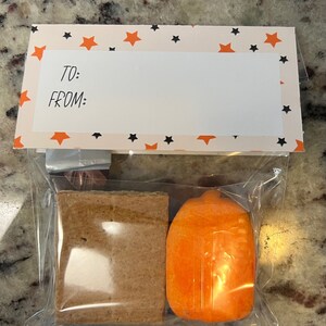 S'mores Halloween Peeps Treat Bags, School Halloween Party Favors ...