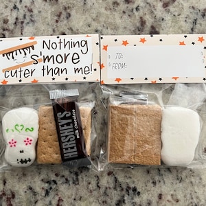 S'mores Halloween Peeps Treat Bags, School Halloween Party Favors ...