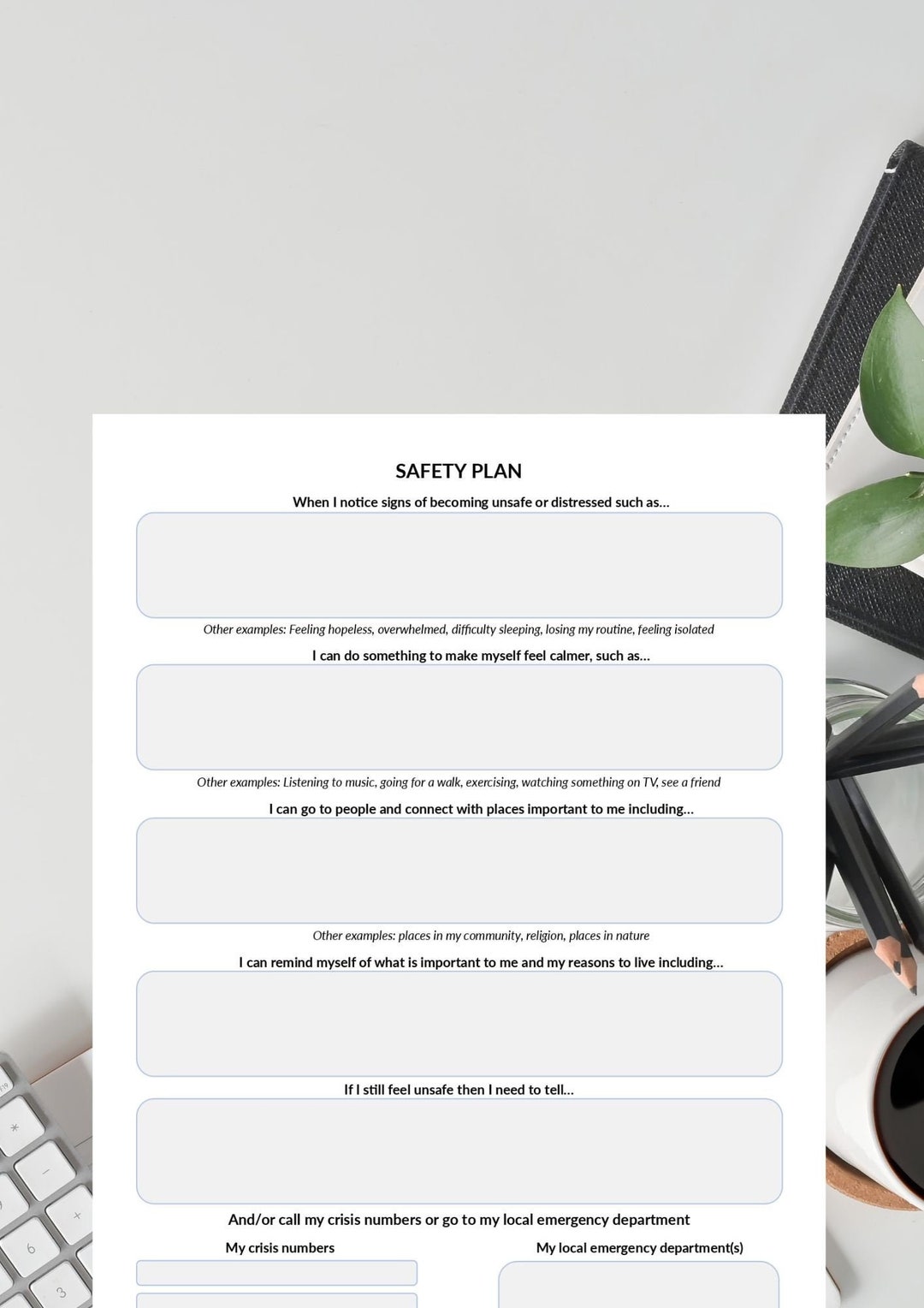 Safety Plan Crisis Plan Management Suicide Risk Plan Therapy Risk ...