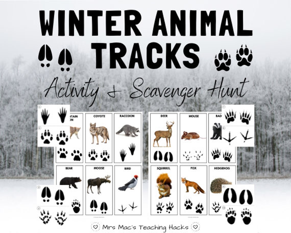 Winter Animal Tracks Activity & Scavenger Hunt - Etsy