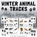 Winter Animal Tracks Activity & Scavenger Hunt - Etsy