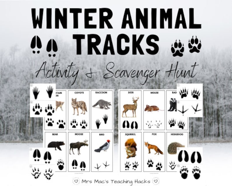Winter Animal Tracks Activity & Scavenger Hunt - Etsy