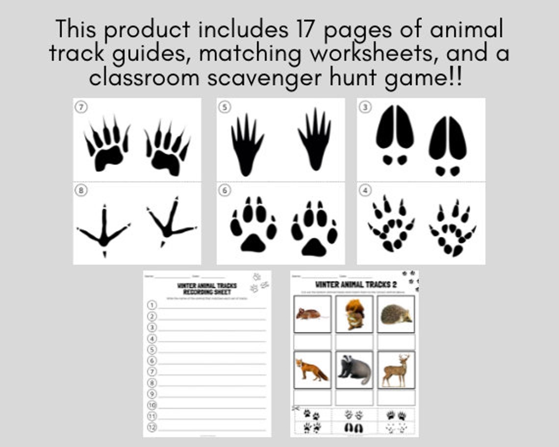 Winter Animal Tracks Activity & Scavenger Hunt - Etsy