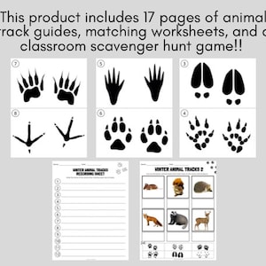 Winter Animal Tracks Activity & Scavenger Hunt - Etsy