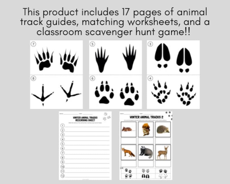 Winter Animal Tracks Activity & Scavenger Hunt - Etsy