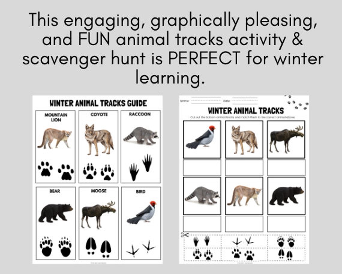 Winter Animal Tracks Activity & Scavenger Hunt - Etsy