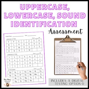 Uppercase, Lowercase, Sound Letter Identification Assessment - Etsy
