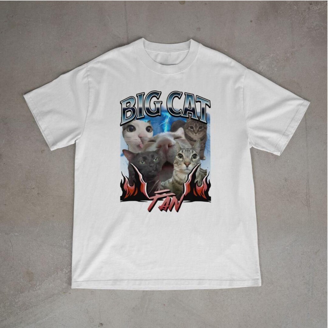 Big Cat Fan Funny Meme T-shirt | Y2K 90s Aesthetic Cat Lover Tee | Unhinged Cat Graphic Shirt - Etsy