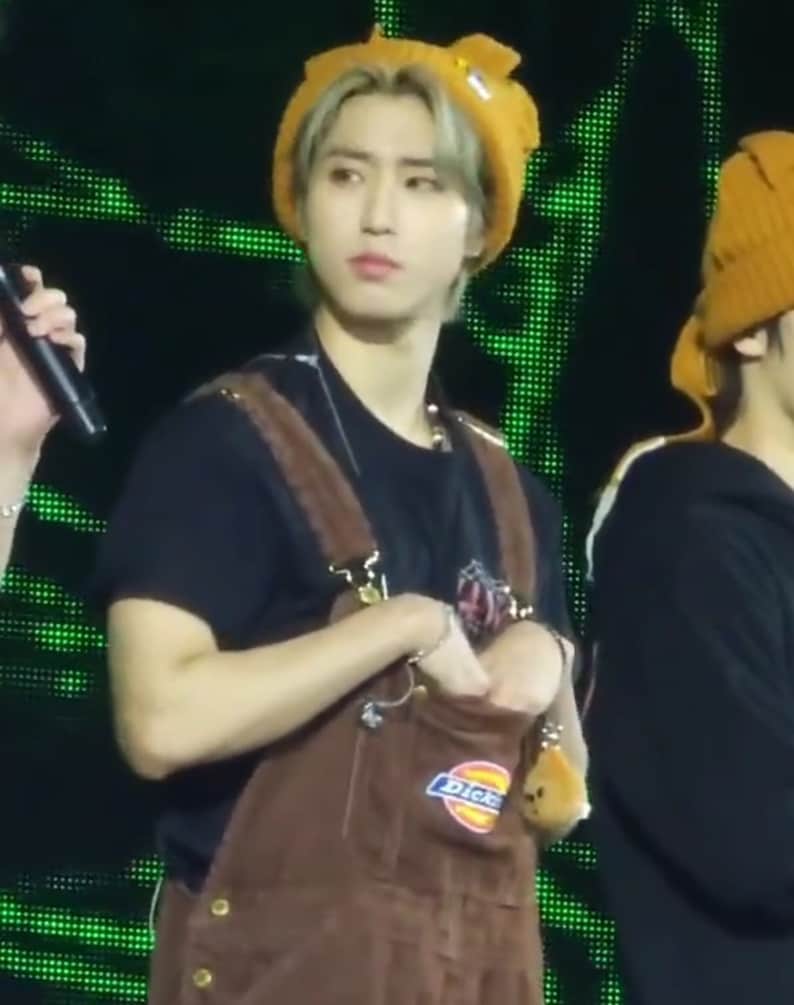 Stray Kids Skzoo Han Han Quokka in Cute Overalls Sticker - Etsy