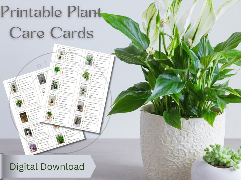 Indoor Plant Care Cards: Printable Plant Labels , Plant Informational ...