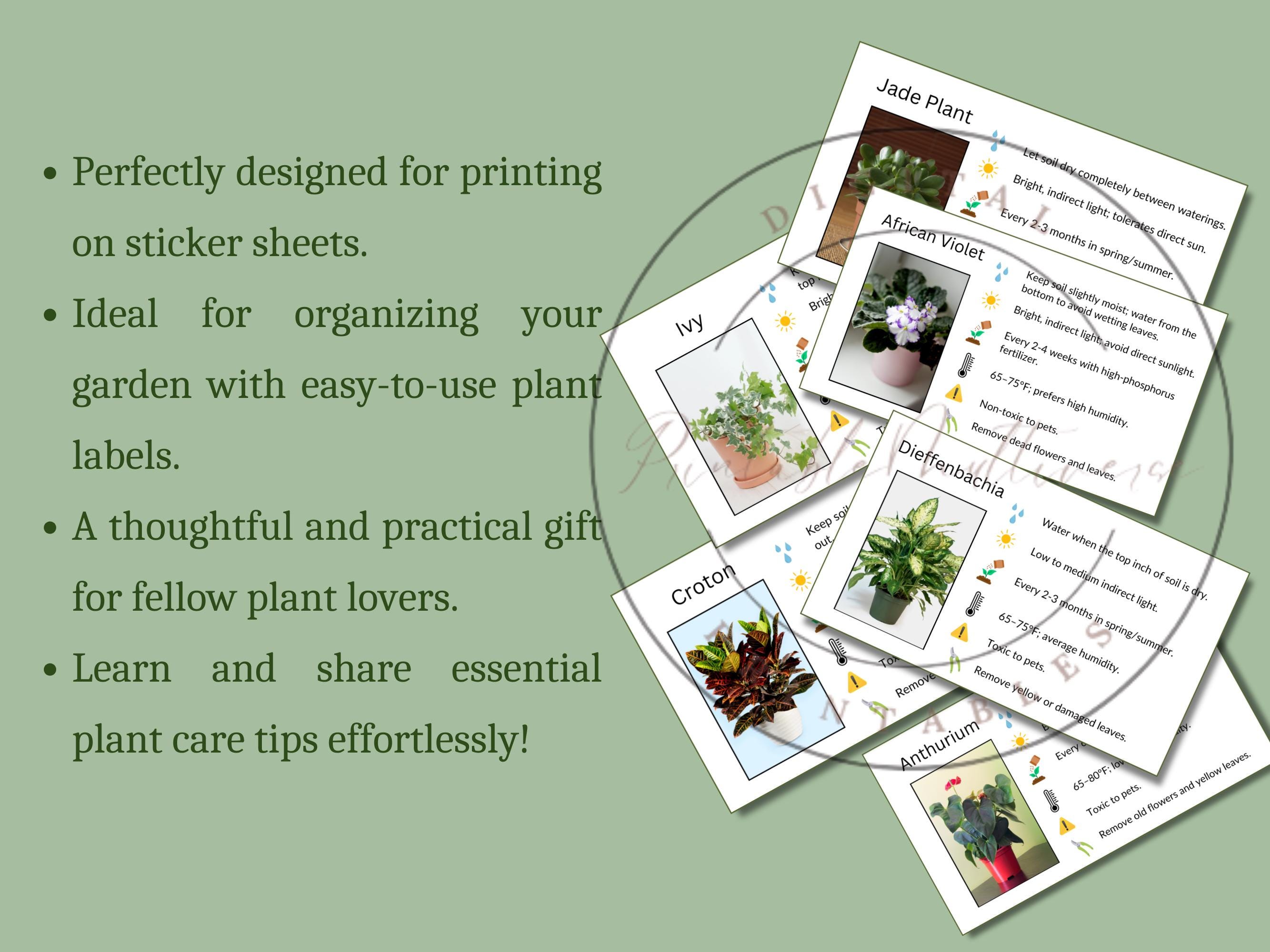 Indoor Plant Care Cards: Printable Plant Labels , Plant Informational ...