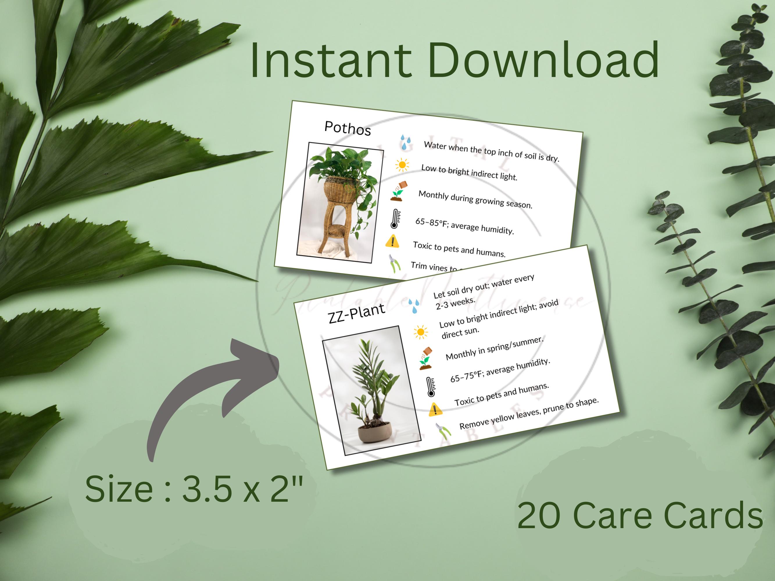 Indoor Plant Care Cards: Printable Plant Labels , Plant Informational ...