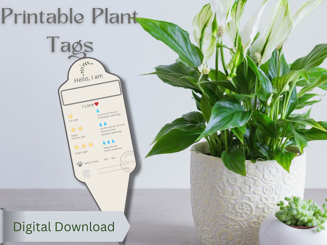 Printable Plant Care Tags Home Gardening Organizer Labels, Houseplant ...