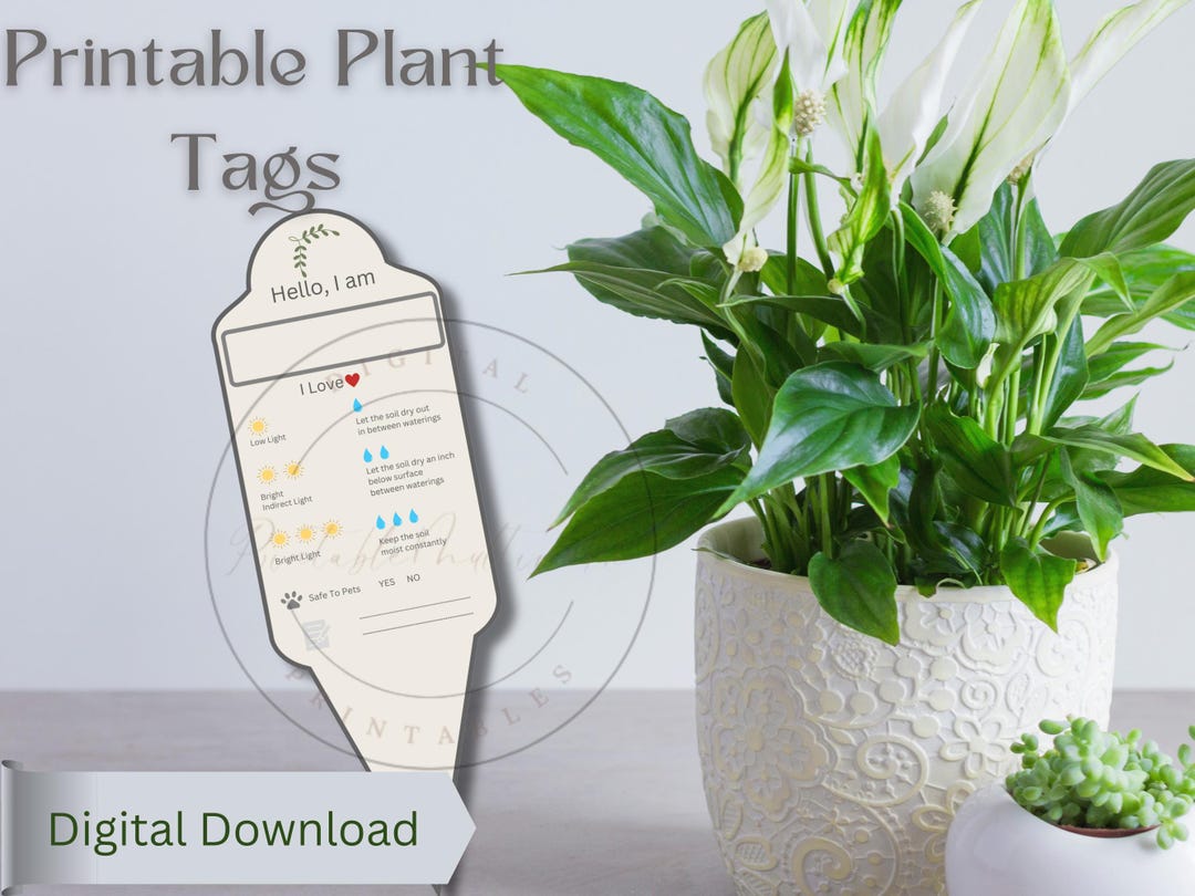 Printable Plant Care Tags - Home Gardening Organizer Labels, Houseplant ...