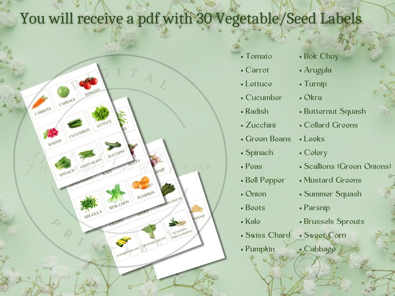 Printable Vegetable/seed Labels | DIY Garden Markers | Seed Packet ...