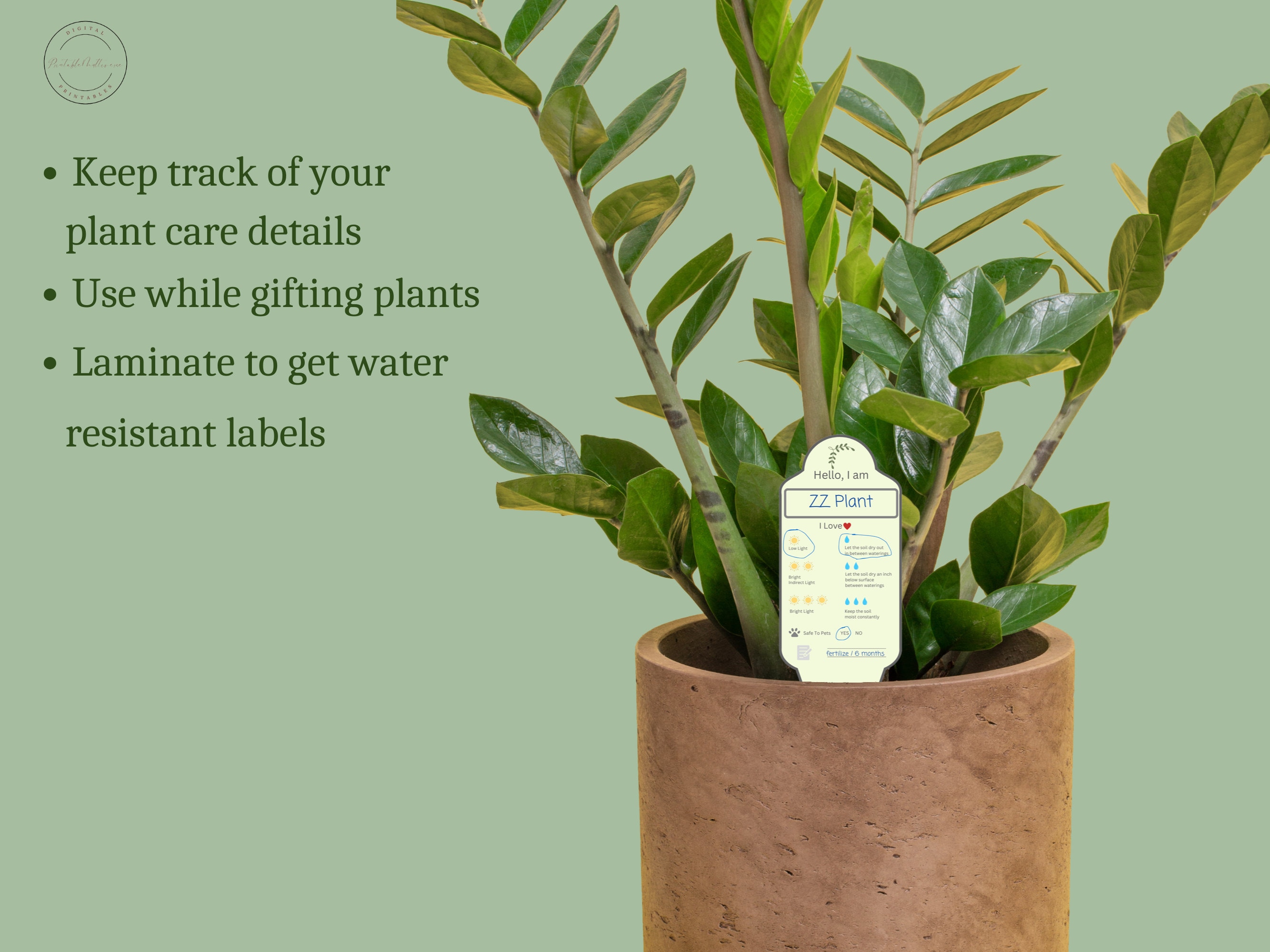 Printable Plant Care Tags Home Gardening Organizer Labels, Houseplant ...