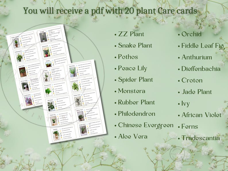 Indoor Plant Care Cards: Printable Plant Labels , Plant Informational ...