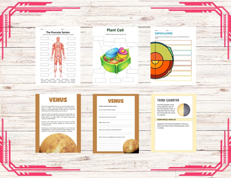 Middle School Science Worksheets | 138 Printable Activity Pages ...
