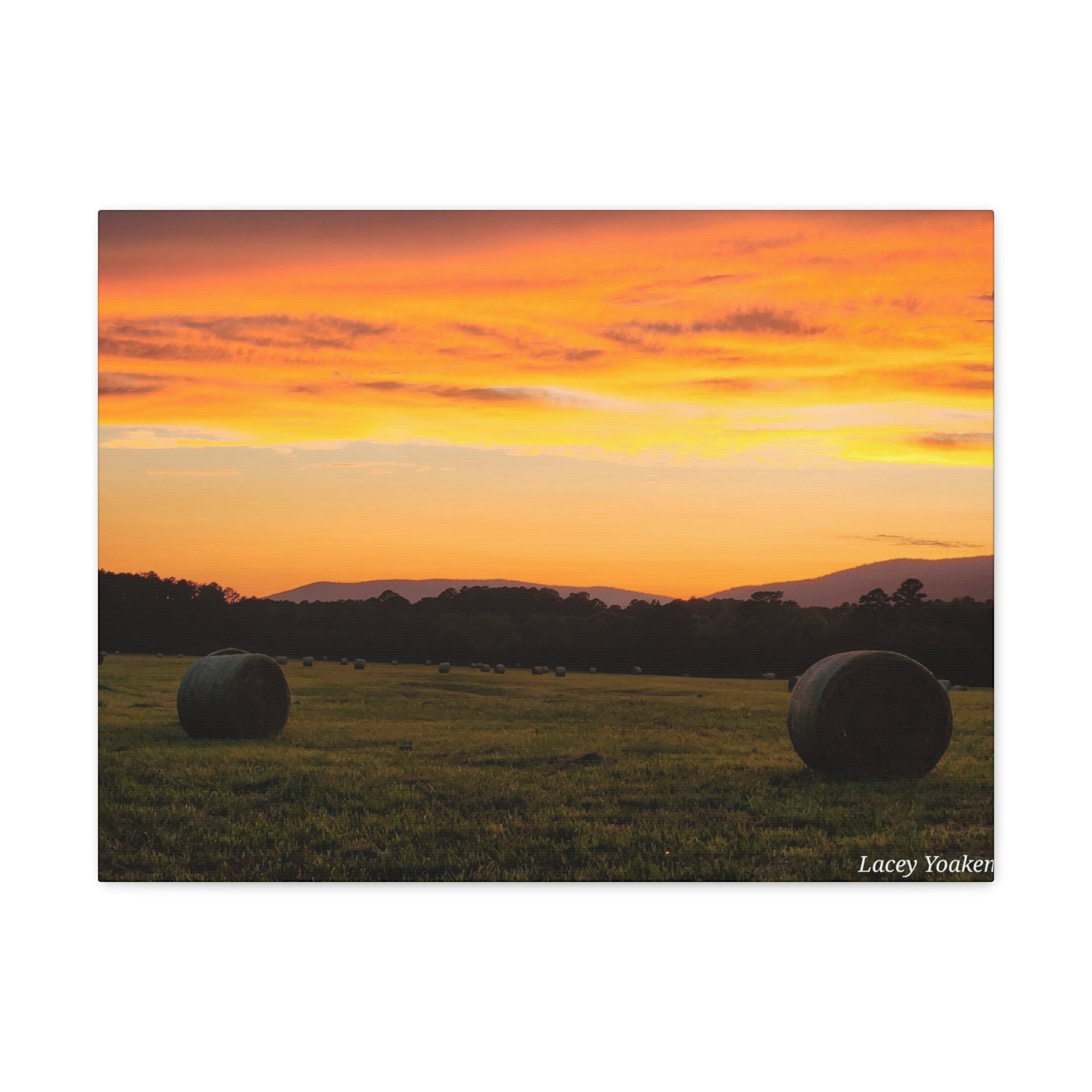 Marshmallow Fields - Etsy