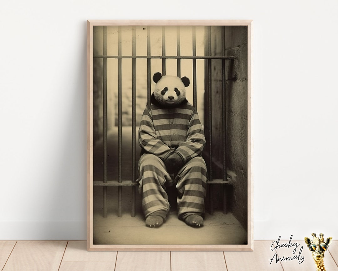 Panda in Prison Wearing a Striped Suit, Funny Vintage Animal Print ...