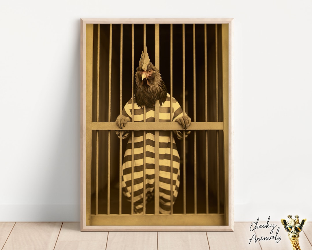 Chicken in Prison Wearing a Striped Suit Funny Vintage Animal - Etsy