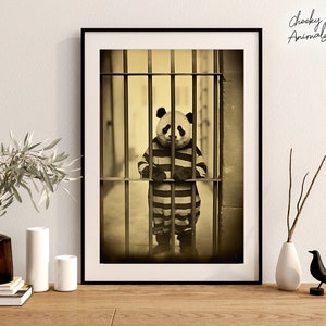 Pandas in Jail, Bundle of 7, Funny Vintage Animal Print, Criminal Panda ...