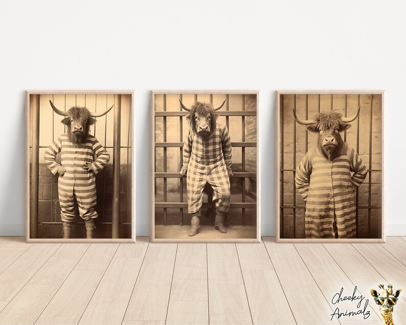 Highland Cows in Jail Bundle of 13 Funny Vintage Animal - Etsy
