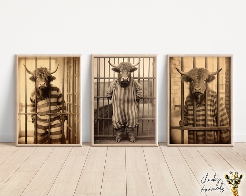 Highland Cows in Jail Bundle of 13 Funny Vintage Animal - Etsy
