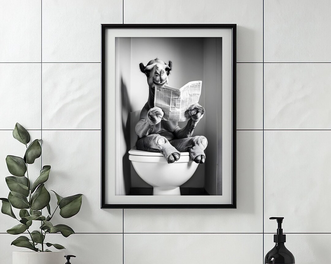 Camel Sitting on the Toilet Reading a Newspaper, Funny Bathroom Wall ...