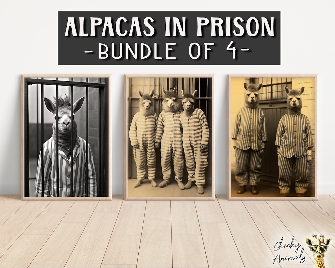 Funny Alpaca Prison Print Set: Vintage Retro Animal Art (digital ...
