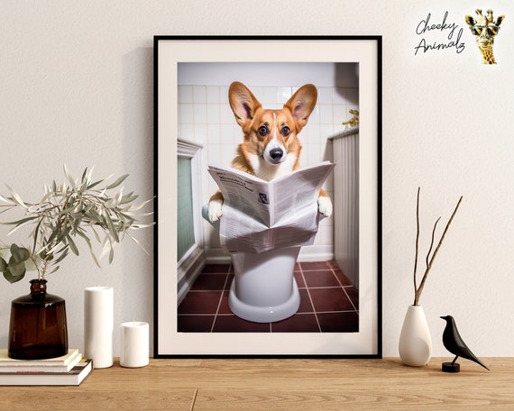 Corgi Reading