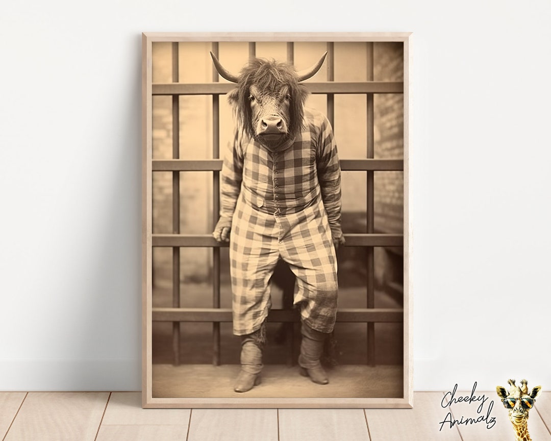 Highland Cow in Prison Wearing a Striped Suit, Funny Vintage Animal ...