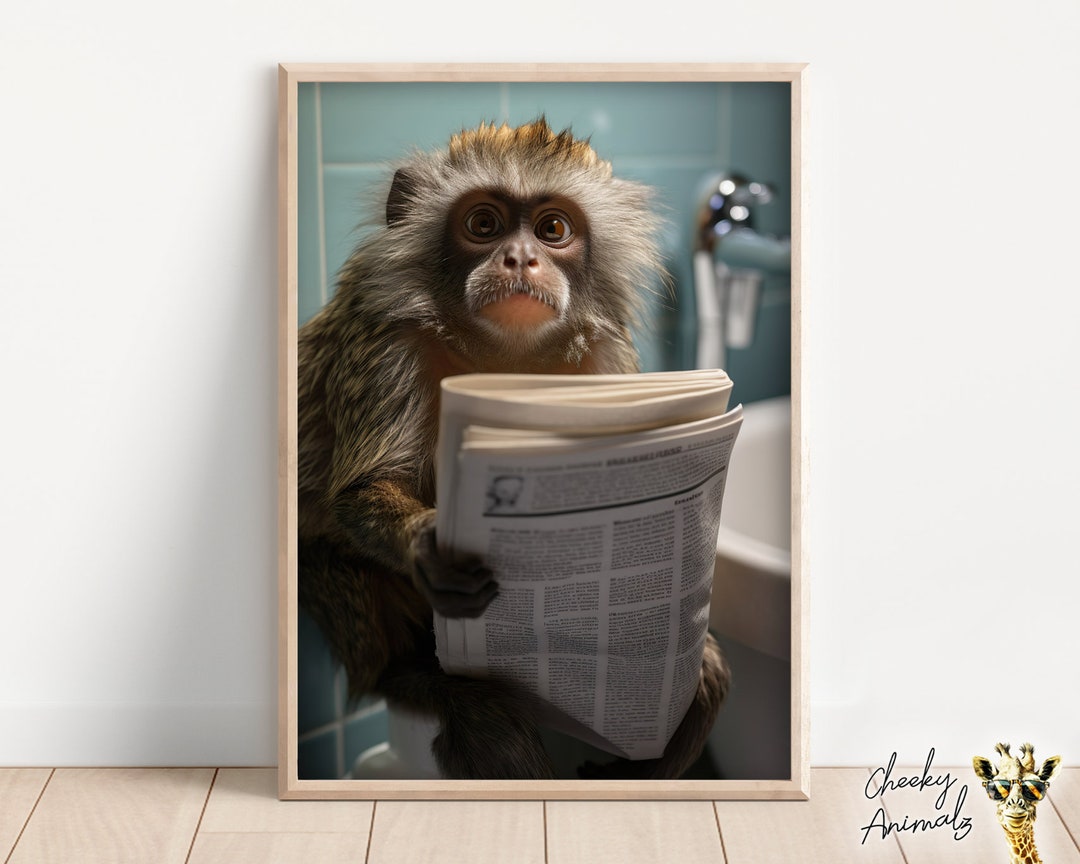 Marmoset Monkey Sitting on the Toilet Reading a Newspaper, Funny ...