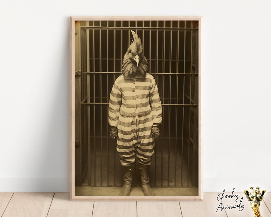 Chicken in Prison Wearing a Striped Suit, Funny Vintage Animal Print ...
